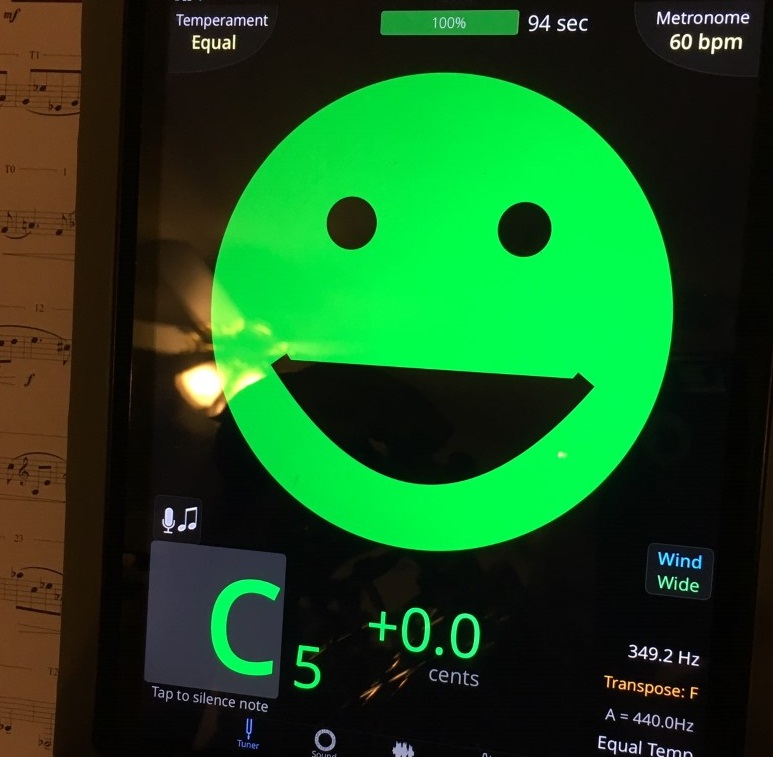 Should you practice 50% of the time with a metronome and tuner? | Horn ...
